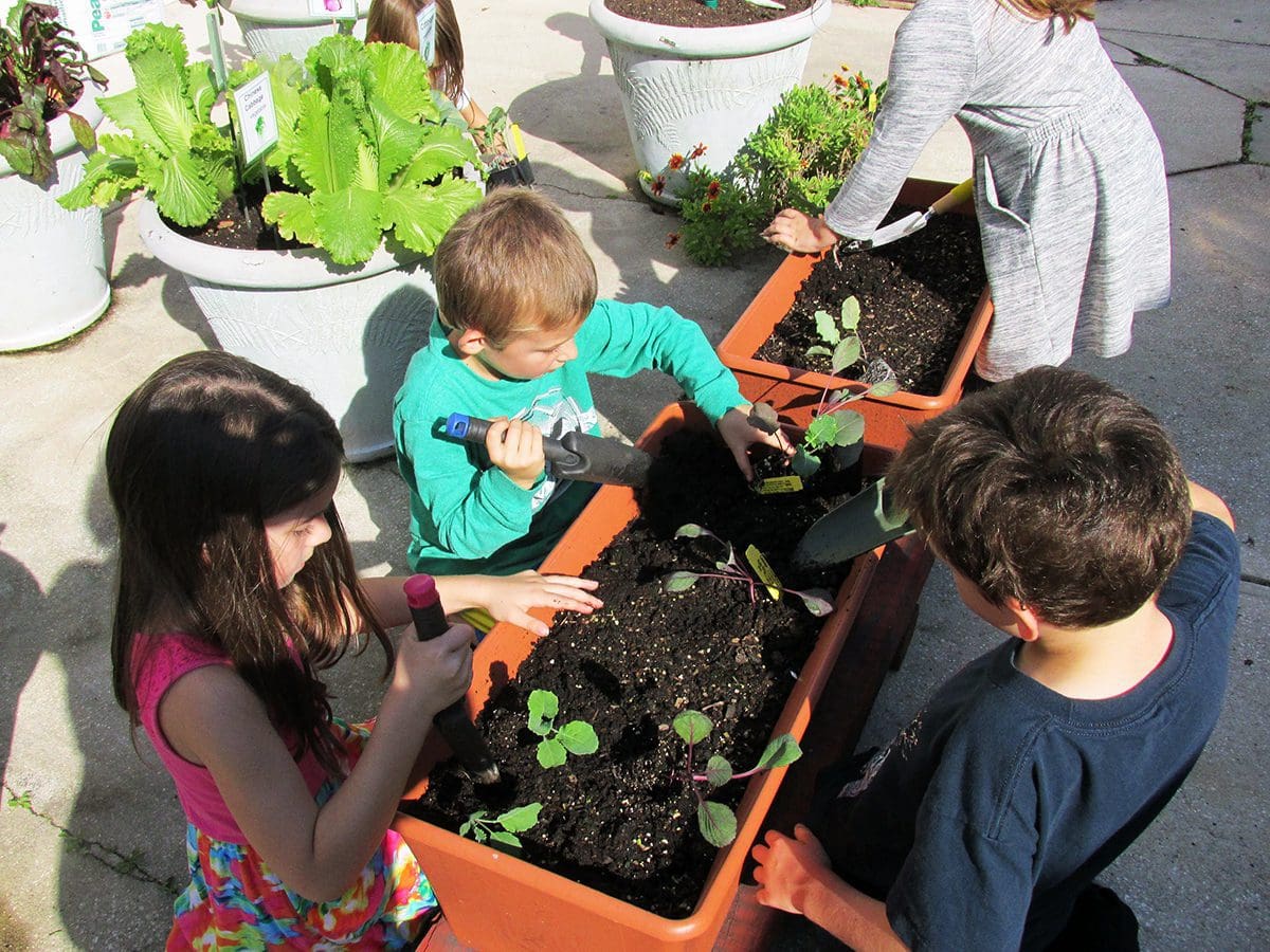 Community Involvement: Everything You Need to Know
